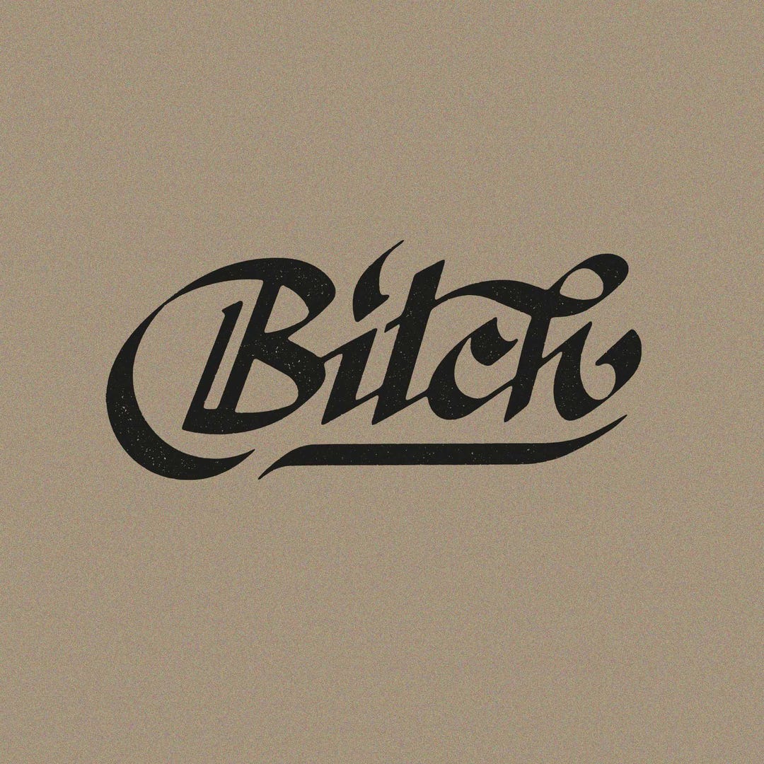 Bitch PNG Transparent Inappropriate Lettering, Irriverent Script, DDLG ...