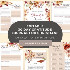 Editable Gratitude Journal, Daily Reflection Journal Template ...