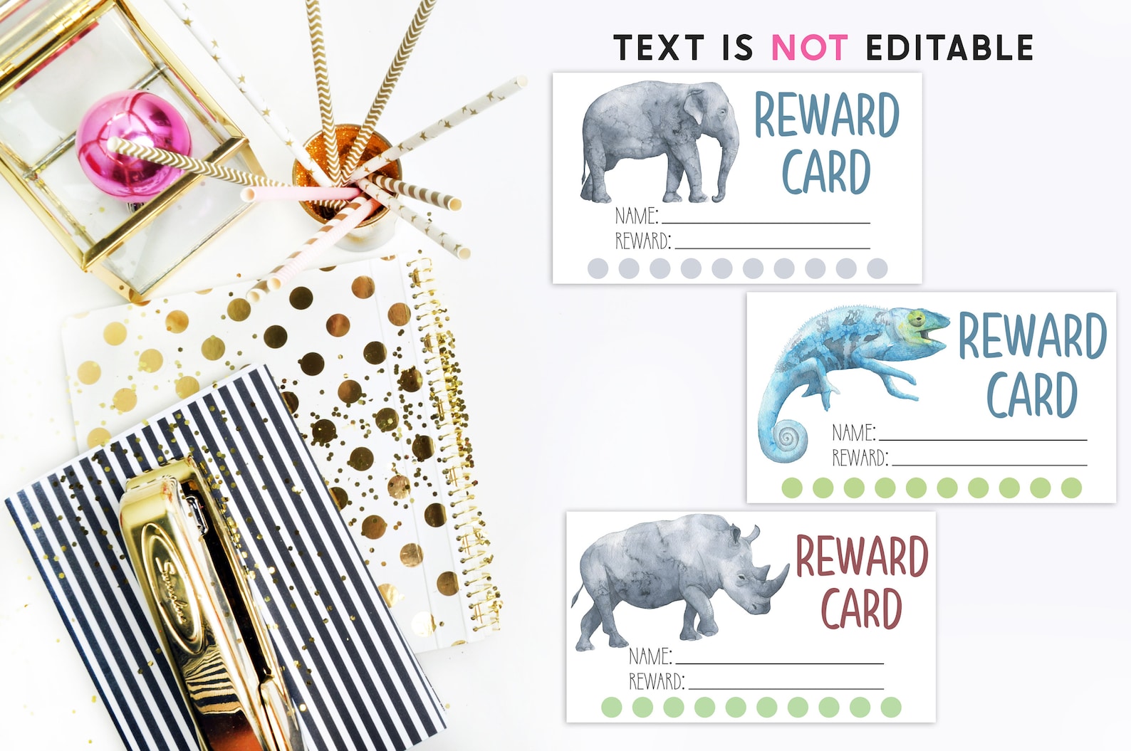 Printable Animal Classroom Reward Punch Cards Set of 3 - Etsy