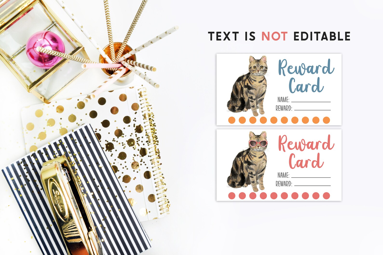 Printable Classroom Reward Punch Cards Set of 2 Cat Themed | Etsy