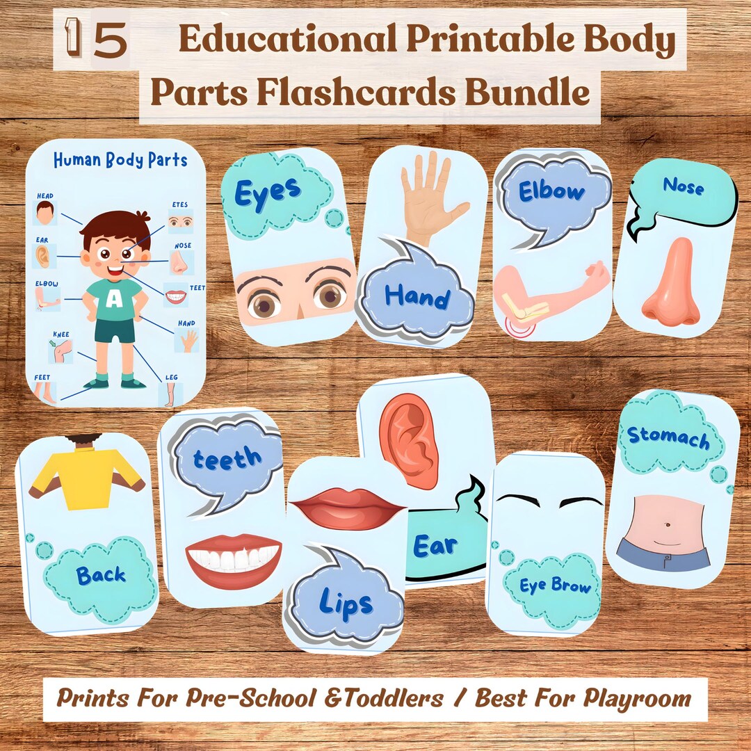 15 Human Body Parts Flashcards, Montessori Toddler Learning, Preschool ...