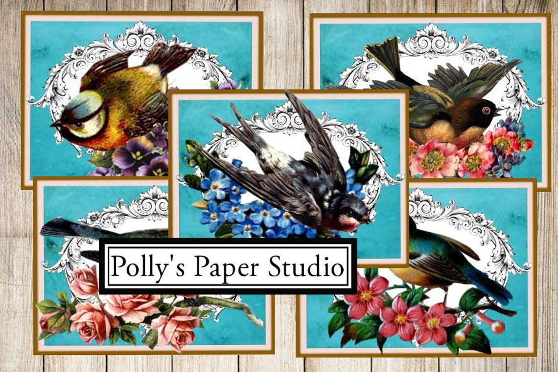 Beautiful Birds Collage Digital Images Printable Download File - Etsy