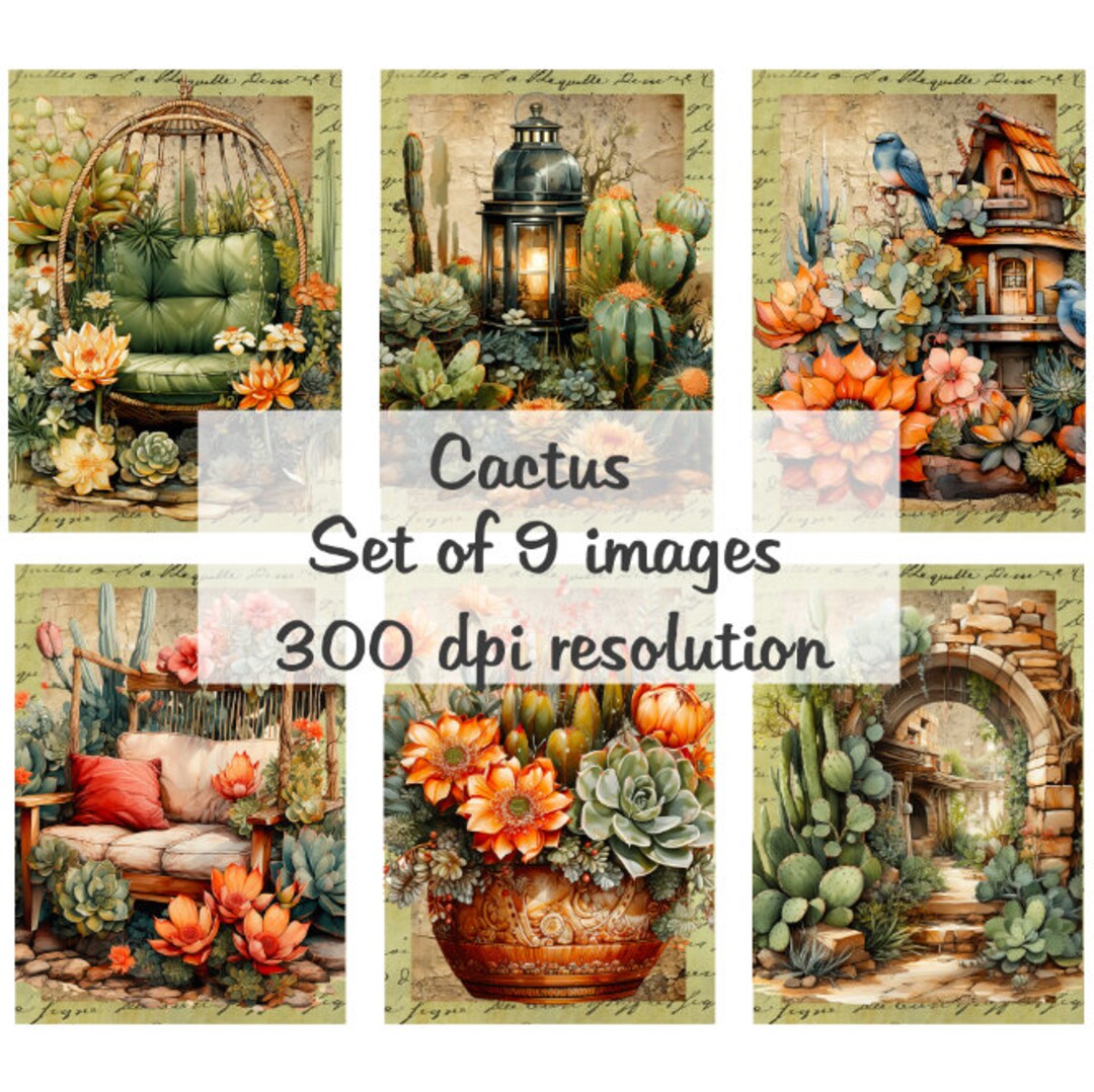 Cactus Images Collage Digital Images Printable Download File 9 Images ...