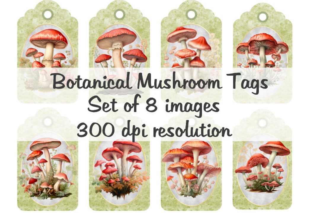 Botanical Mushroom Tags Images Collage Digital Images Printable ...
