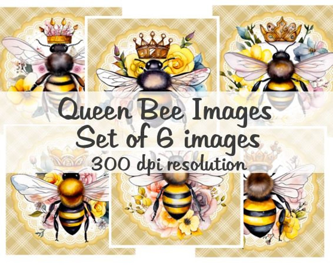 Queen Bee Images Collage Digital Images Printable Download File 6images ...