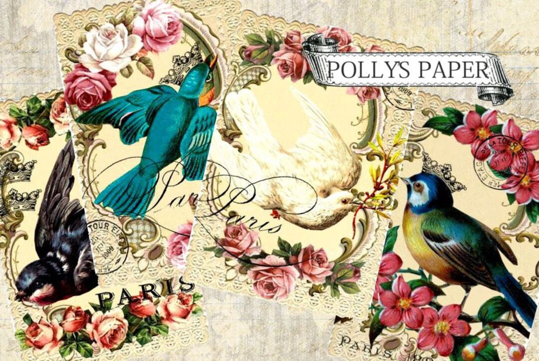 Bird Frame Collage Digital Images Printable Download File - Etsy