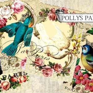 Bird Frame Collage Digital Images Printable Download File - Etsy