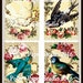 Bird Frame Collage Digital Images Printable Download File - Etsy
