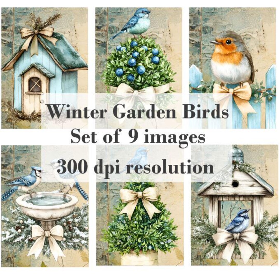 Winter Garden Birds Images Collage Digital Images Printable Download ...