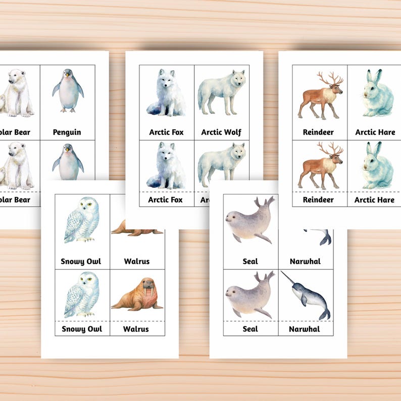 Arctic & Snow Animals 3-part Cards | Montessori Winter Vocabulary Set ...