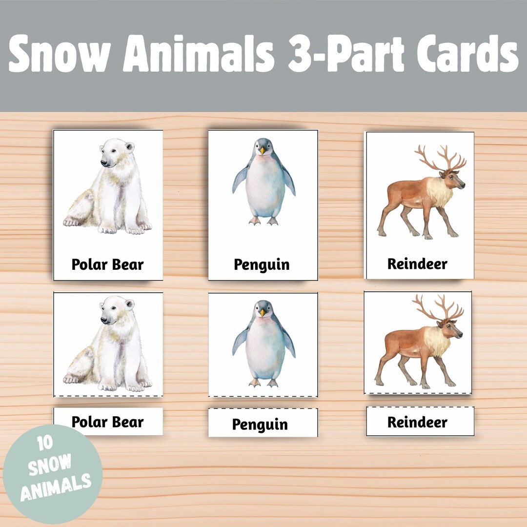 Arctic & Snow Animals 3-part Cards | Montessori Winter Vocabulary Set ...