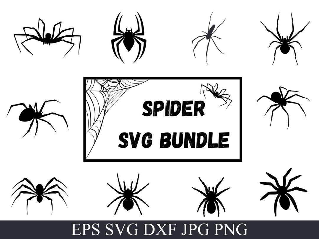 Spider SVG Bundle, Spider SVG, Tarantula SVG, Spider Design, Spider Cut ...