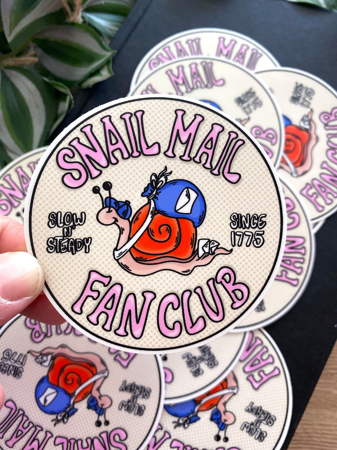 Snail Mail Fan Club Pony Express White Vinyl Waterproof 3x3 Sticker! - Etsy