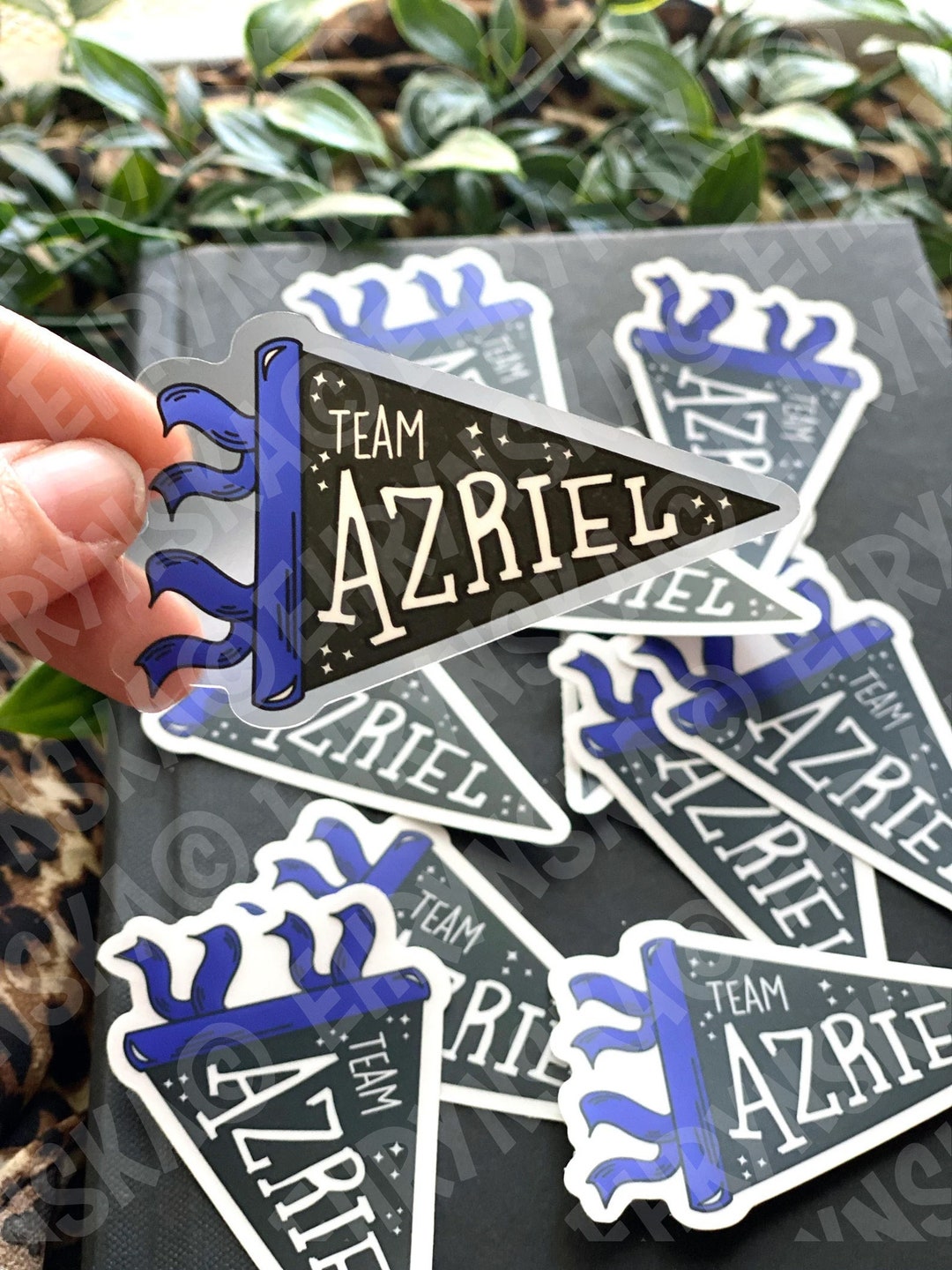 ACOTAR Team Azriel Pennant Flag Bat Boy Officially Licensed Sarah J ...