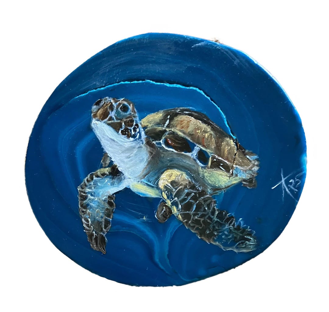 Hand Painted Sea Turtle on Blue Agate Slice, Nautical Home Decor - Etsy