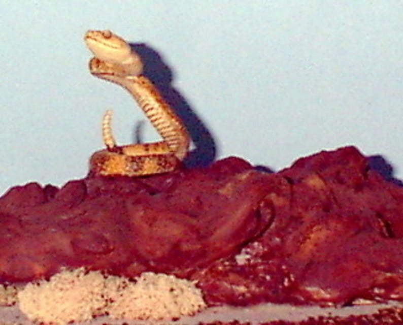 Resin Miniature Lifelike Rattlesnake Figurine Display - Etsy