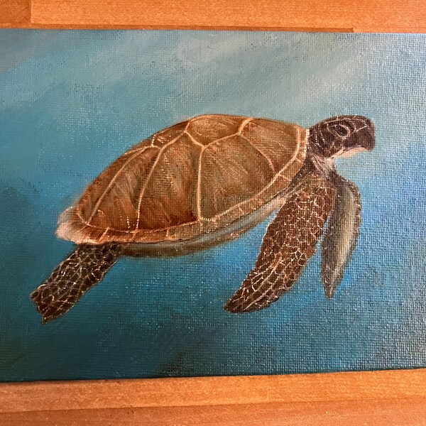 Oil Paintings of Sea Turtles - Etsy