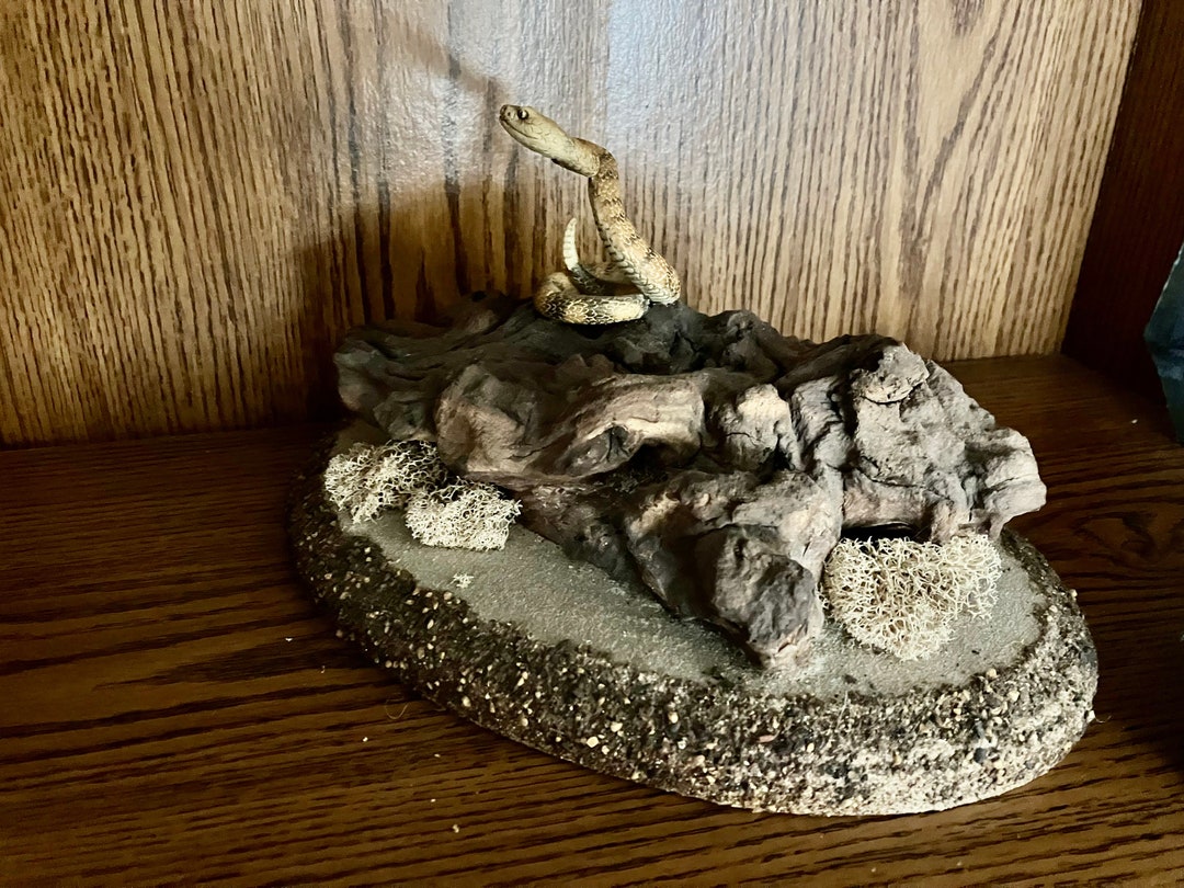 Resin Miniature Lifelike Rattlesnake Figurine Display, Father's Day ...