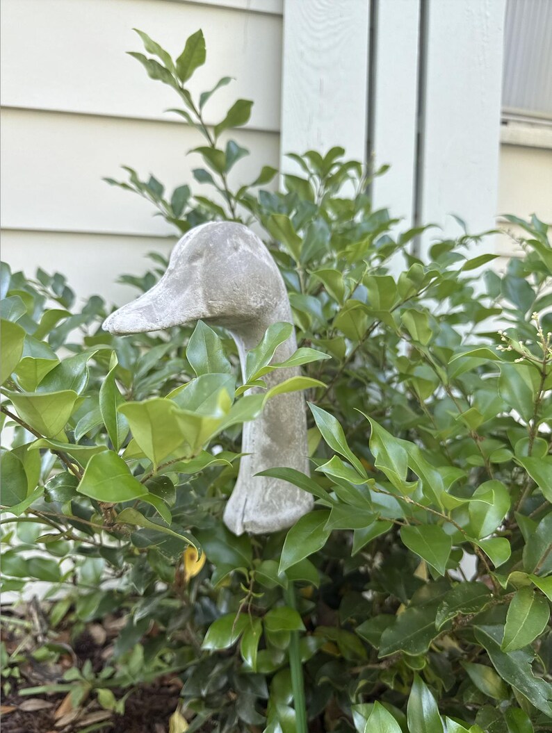 Garden Stake Cement Goose Head | Front Lawn Ornament | Porch Goose ...