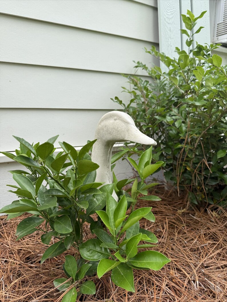 Garden Stake Cement Goose Head | Front Lawn Ornament | Porch Goose ...