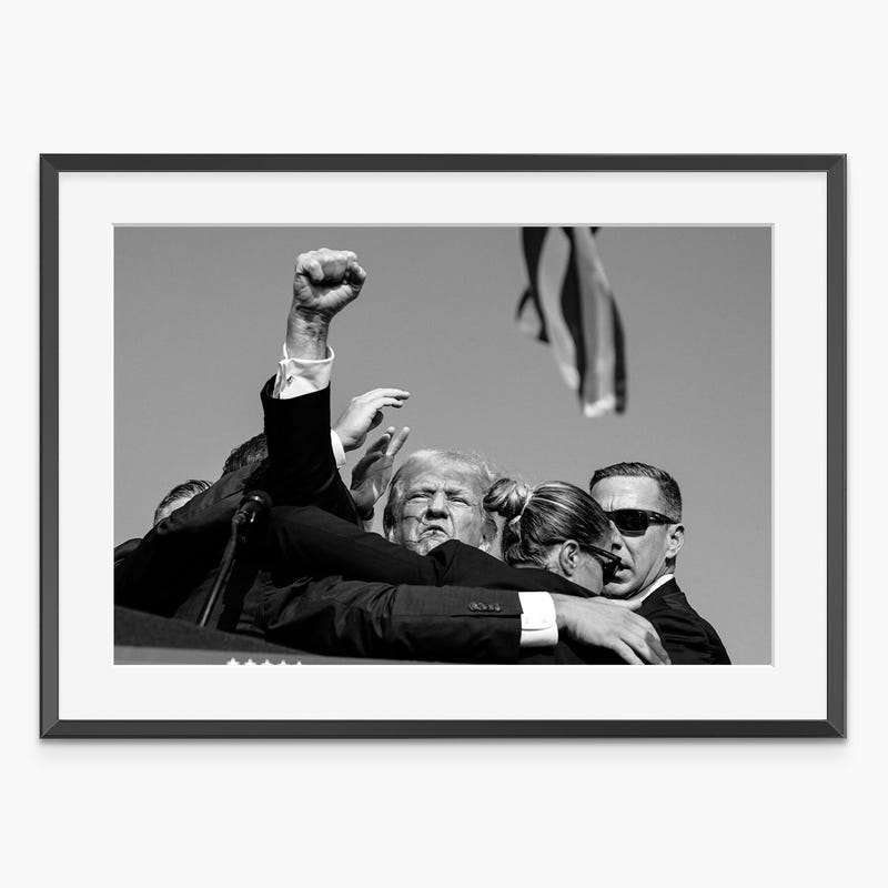 Donald Trump Poster - Etsy