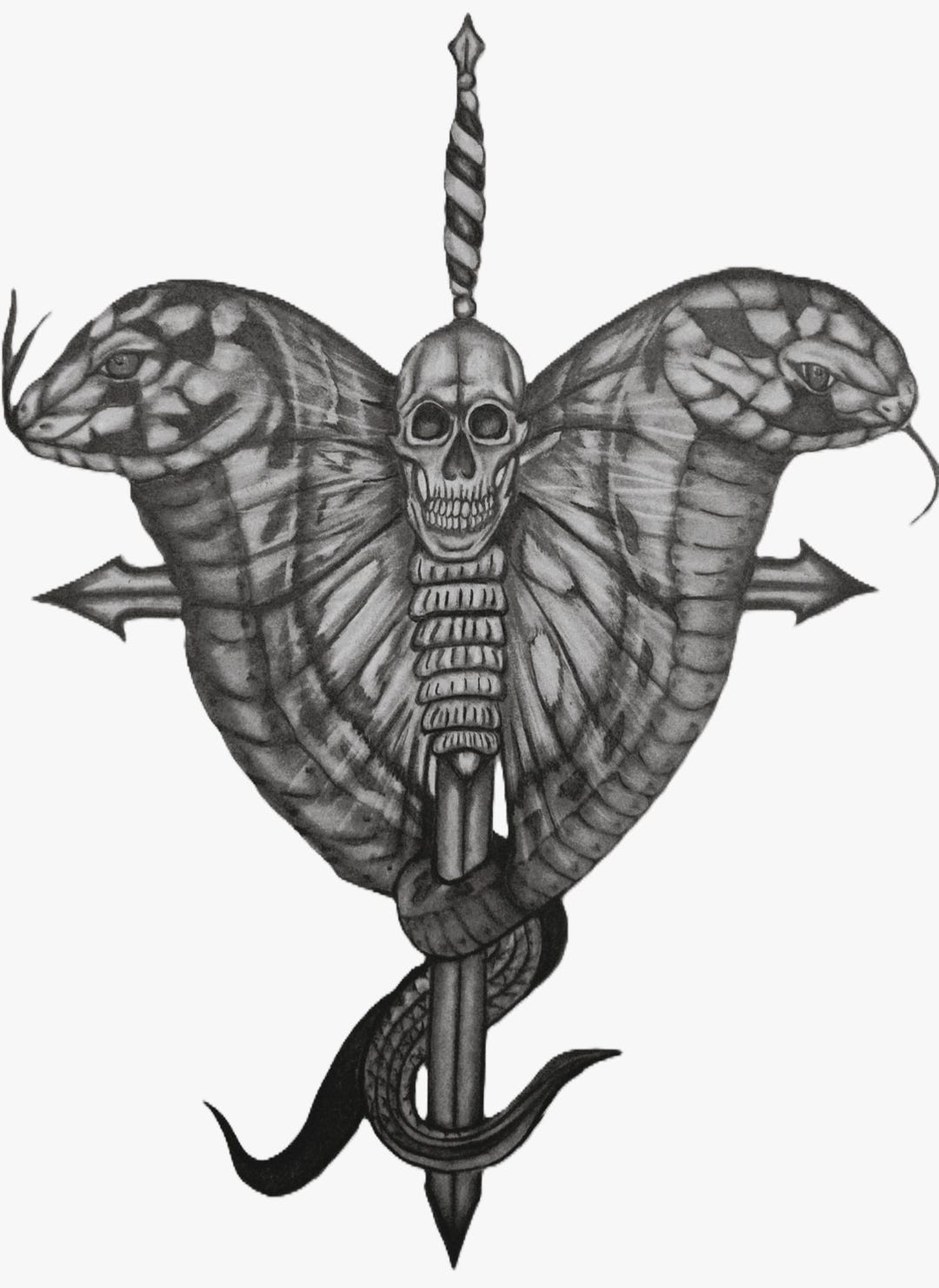 Tangled in Eternity Art Print – Snakes, Skull, Sword, Signed & Numbered ...