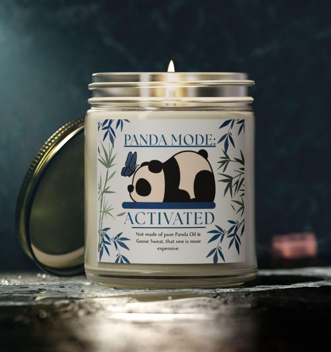 Panda Mode Soy Candle: Funny Introvert Gift, Aromatherapy Relaxation - Etsy