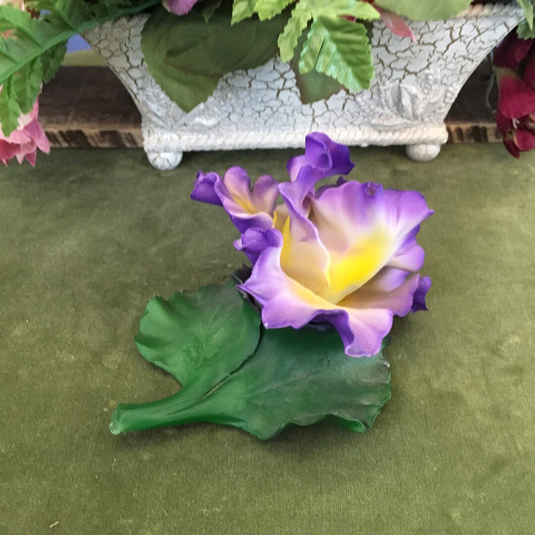 Campodimonte Iris Made in Italy by Fabar - Etsy