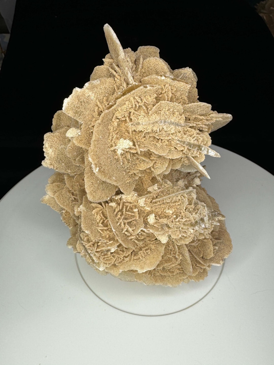 Sand Selenite Desert Rose Gypsum - Mexico - Etsy