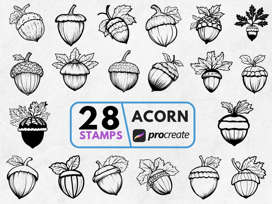 Acorn Procreate Stamps and Brushes: Digital Art Brush Bundle - Etsy