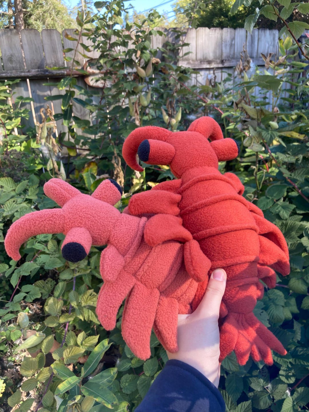 Anomalocaris Cambrian Plush Toy - Etsy