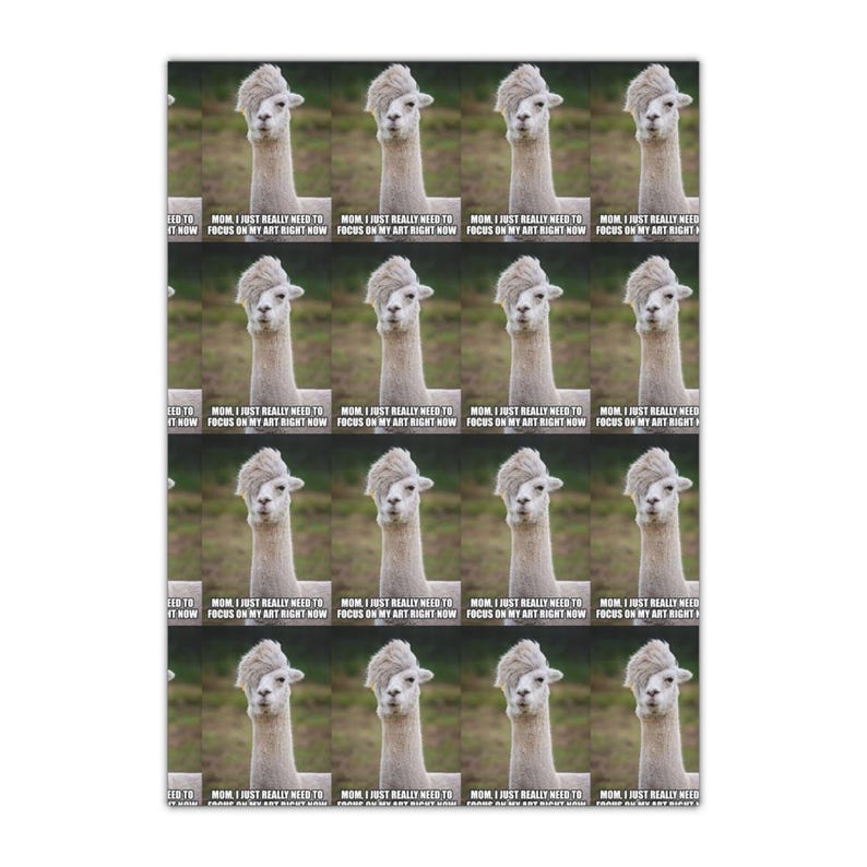 Wrapping Paper, Funny Lama Hair Gift Wrap Sheets, Birthday Present ...