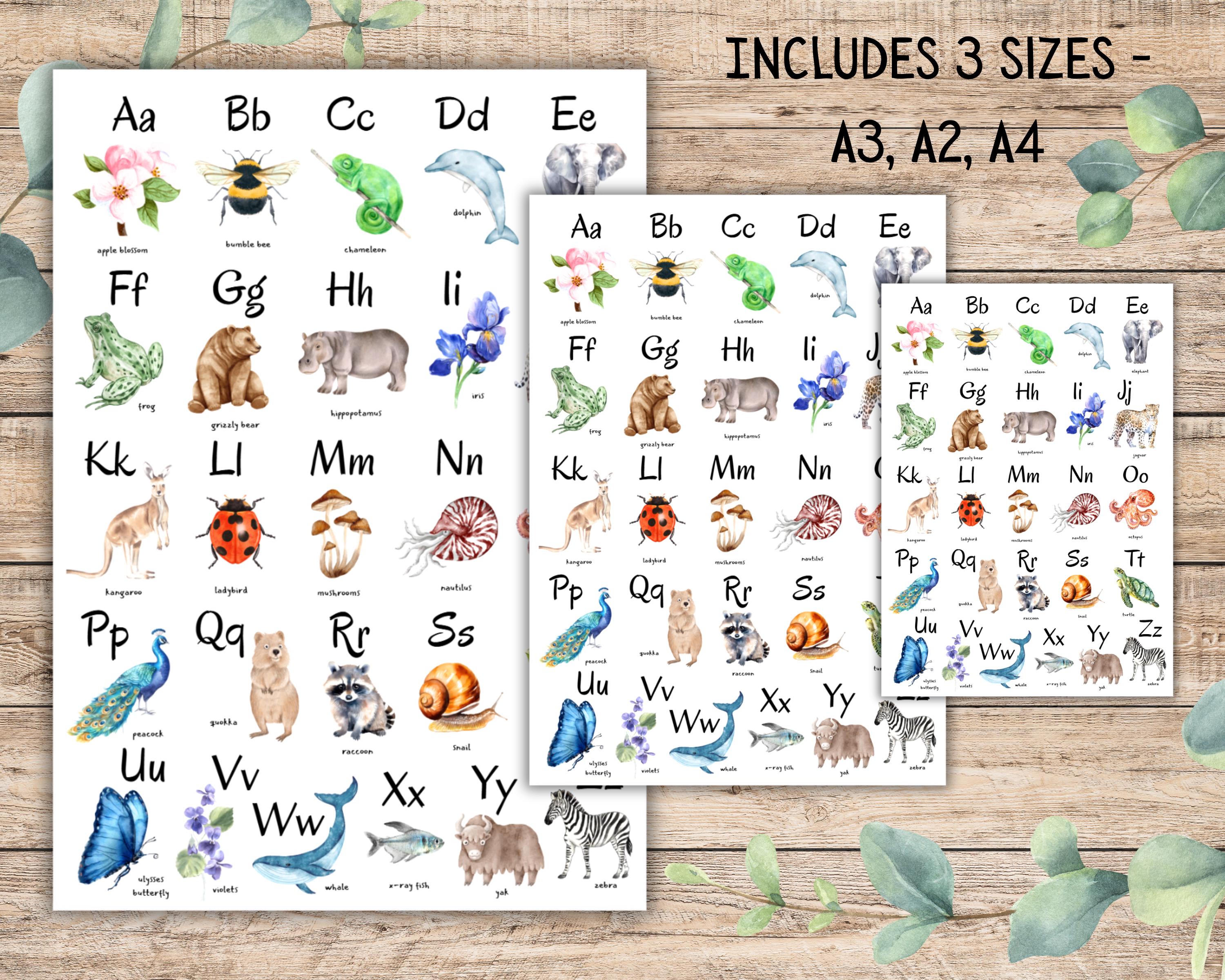 ABC Nature Chart Printable - Etsy