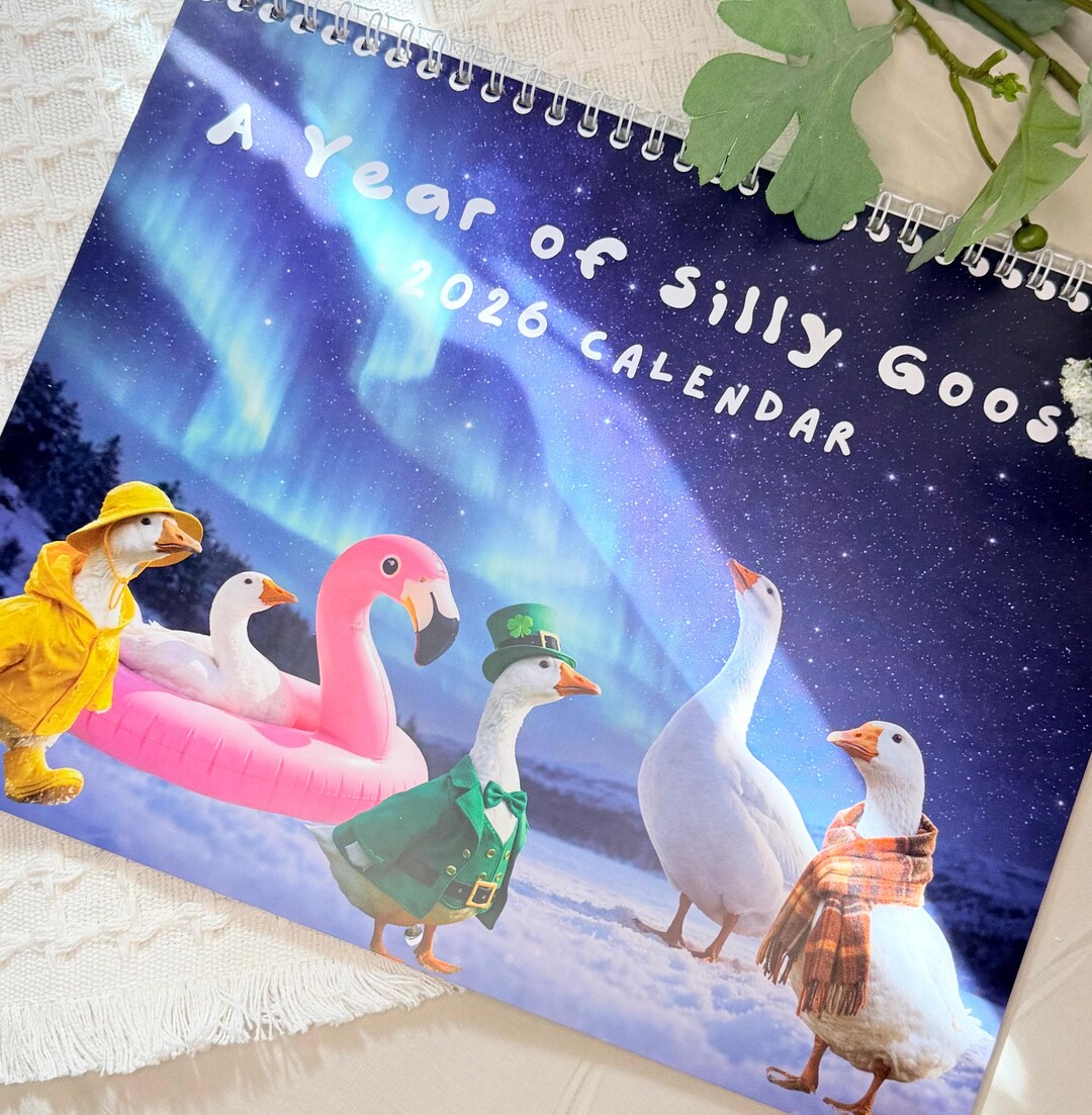 A Year of Silly Goose Wall Calendar - Etsy