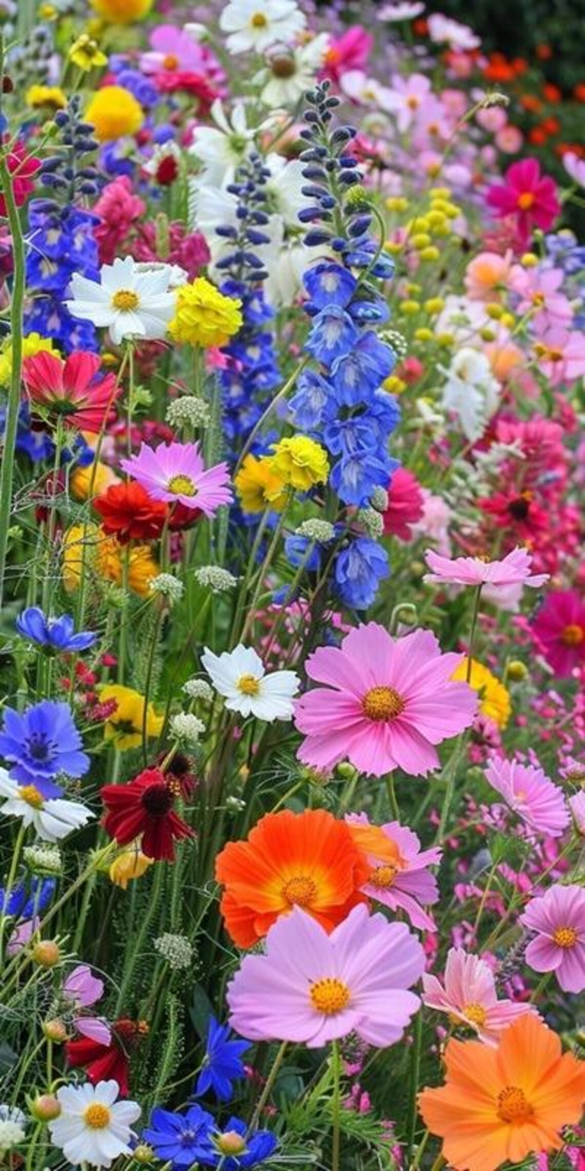 1000+ All-perennial Wildflower Seeds – Heirloom Garden Pollinator Blend ...