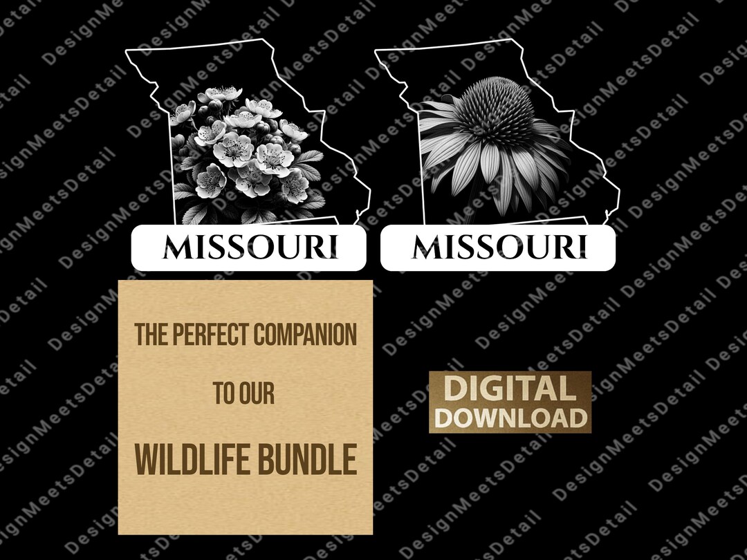 Missouri State Flower Laser Engraving PNG Bundle Purple Coneflower and ...