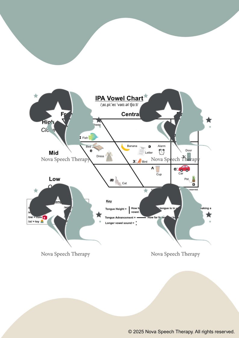 IPA Vowel and Speech Sound Chart & Template Bundle (british English ...