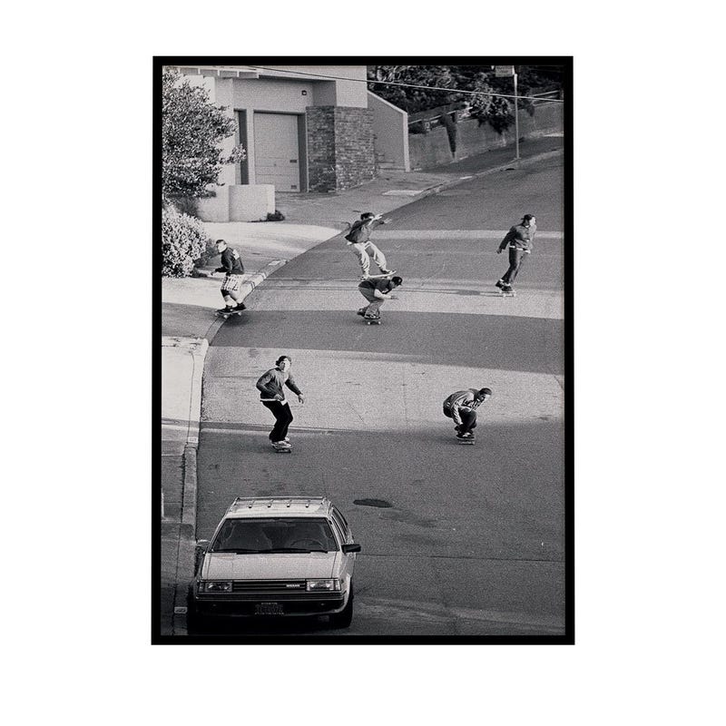Dog Skater Art - Etsy