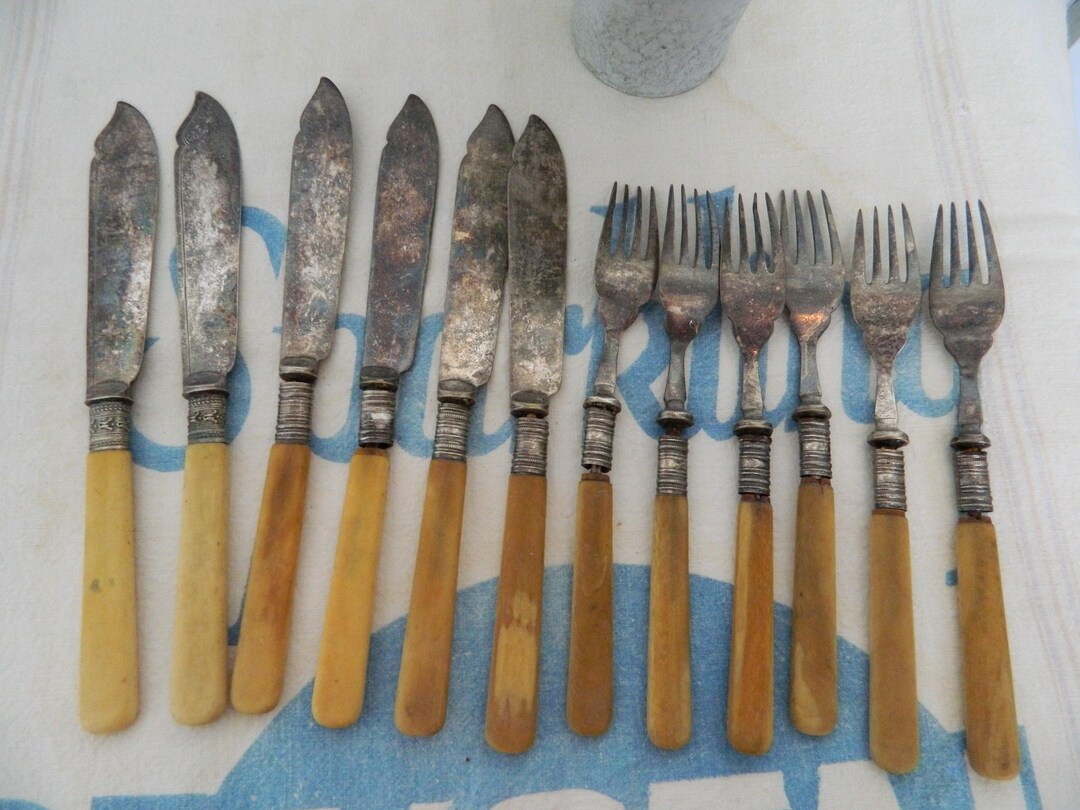 Vintage Celluloid Handle Silverware / Set of 12 / Flatware - Etsy