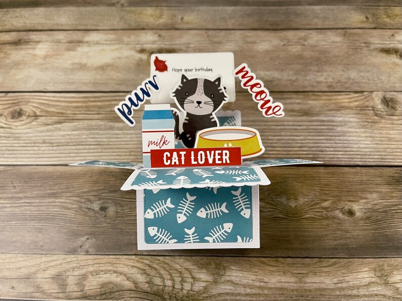 3D Box Pop up Cat Theme Birthday Card Purrr Meow Bright - Etsy