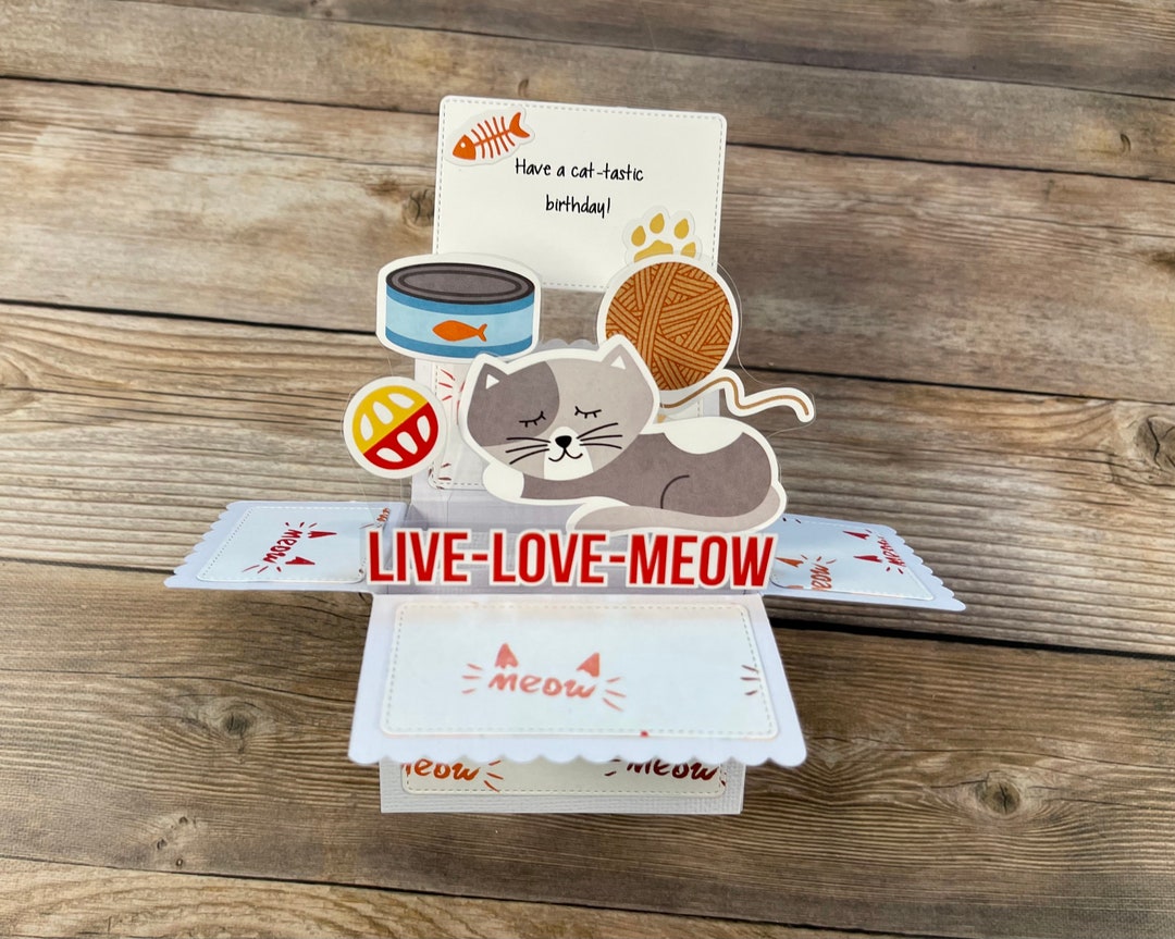 3D Box Pop up Cat Themed Birthday Card L Cat With Cat Food a Toy and ...