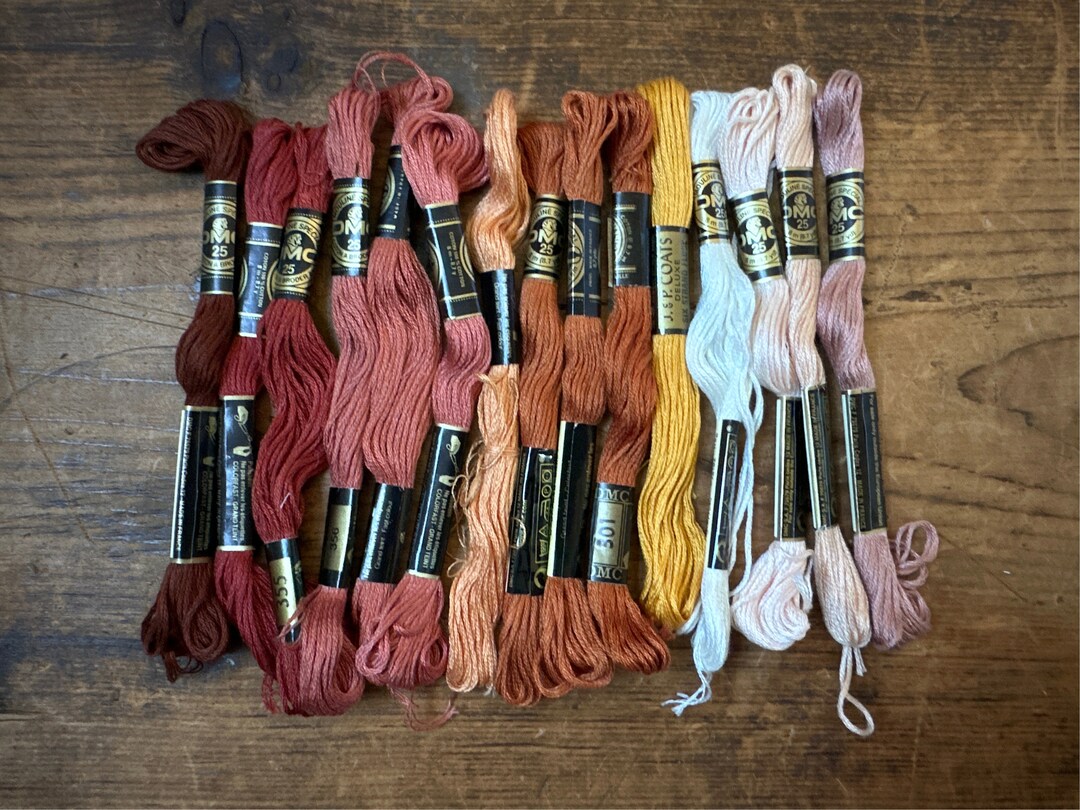 Lot of New and Vintage Embroidery Floss - 15 Skeins - Brown Tan Mauve ...