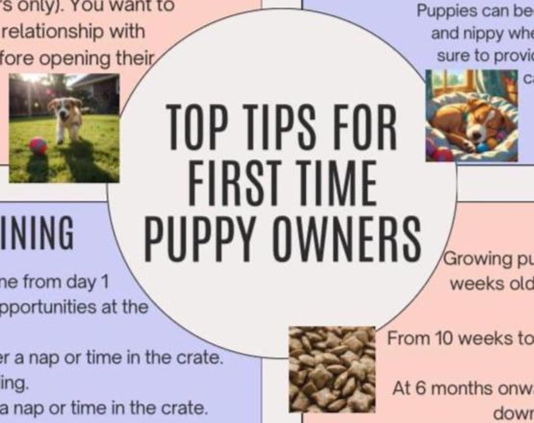 New Puppy Tips Poster: Expert Dog Training Guide (PDF Downloadable ...