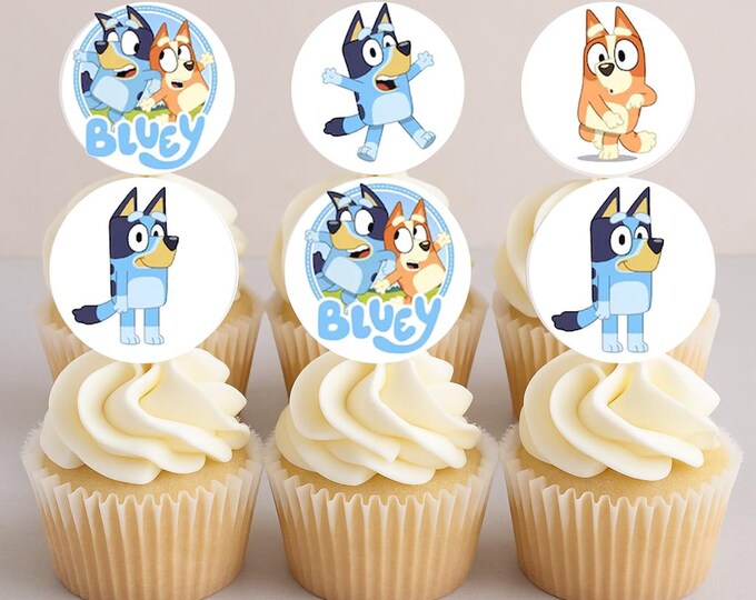 Bluey Edible Cupcake Toppers | 1.5" / 2” Round | Character Print on ...