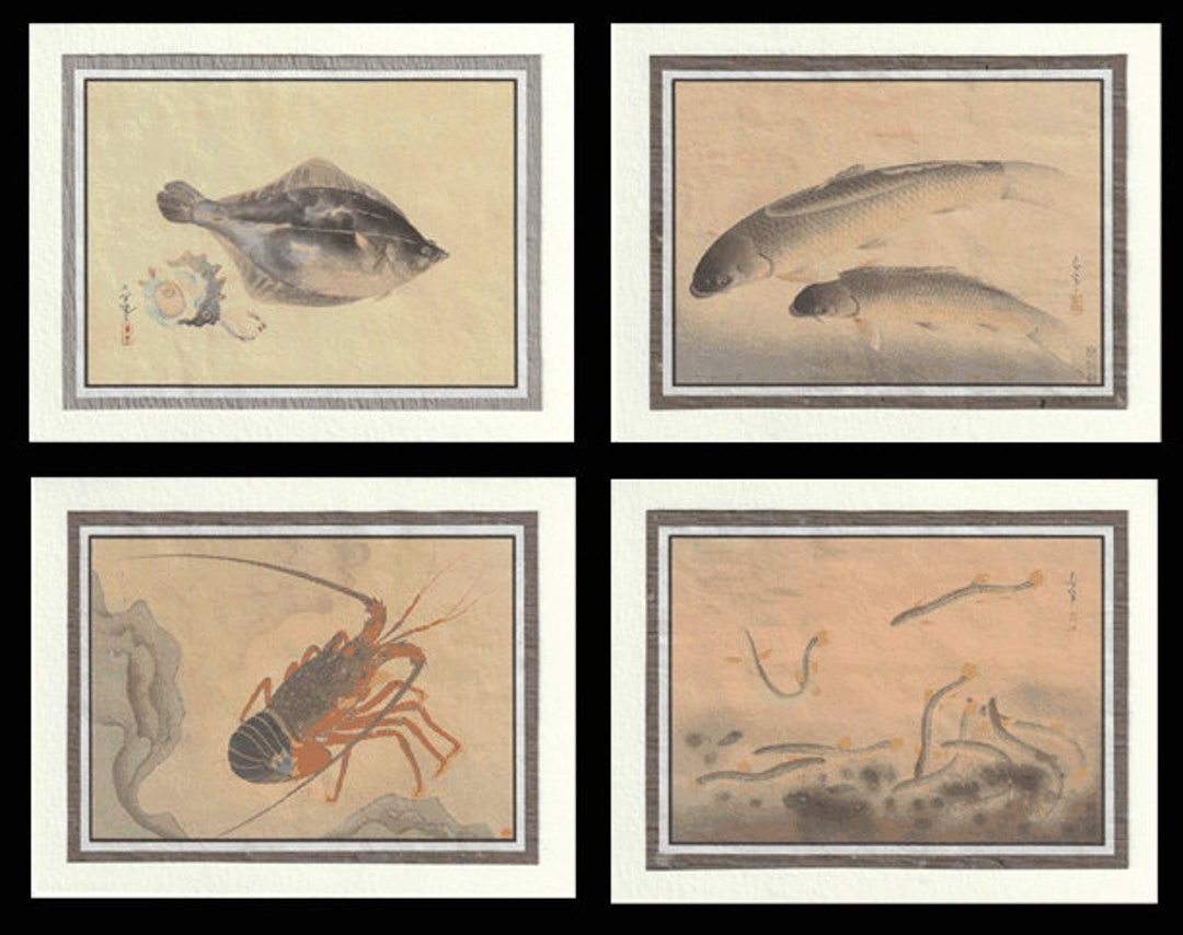 4 Blank Note Cards Fish & Sea Creatures 014 - Etsy