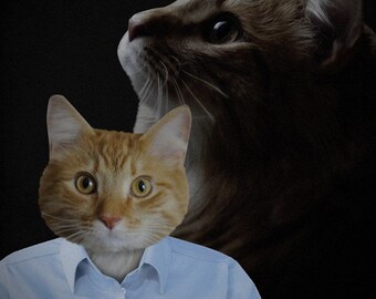 80s Cat Cat Portrait 1980s Portrait Studio Cat 80s | Etsy