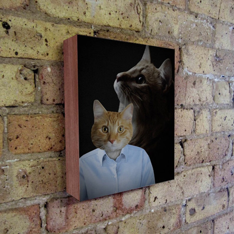 80s Cat Cat Portrait 1980s Portrait Studio Cat 80s - Etsy