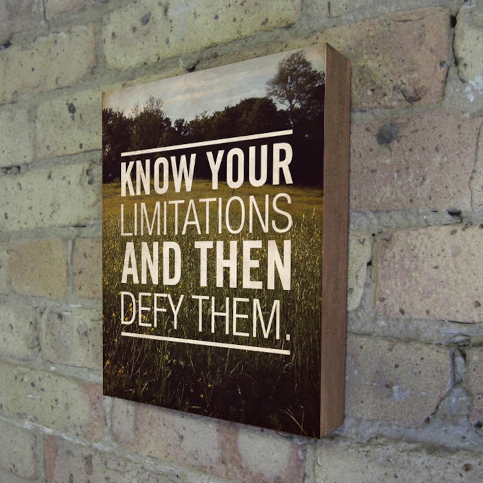 Inspirational Art Know Your Limitations and Then Defy Them - Etsy