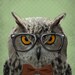Owl With Glasses Owl Art the Studious Owl Owl Art Print Wood Block Art ...