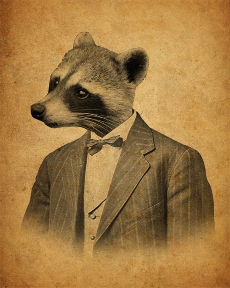Raccoon In A Suit Portrait 8x10 Art Print Etsy raccoon-in-a-suit-portrait-8x10-art-print-etsy